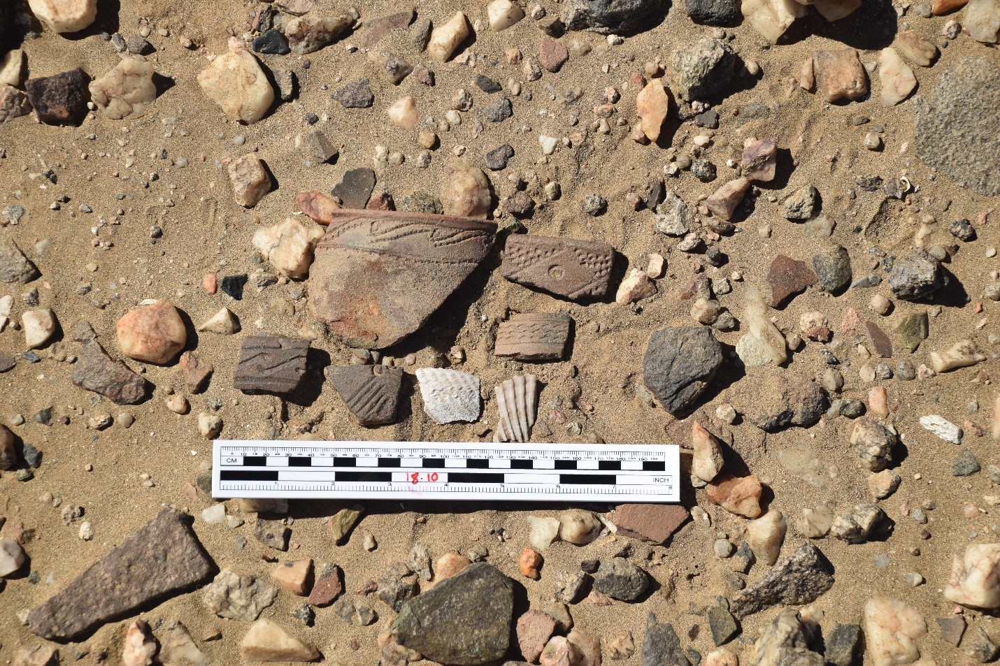 An archaeological expedition to the deserts of Eastern Sudan | Nomadic ...